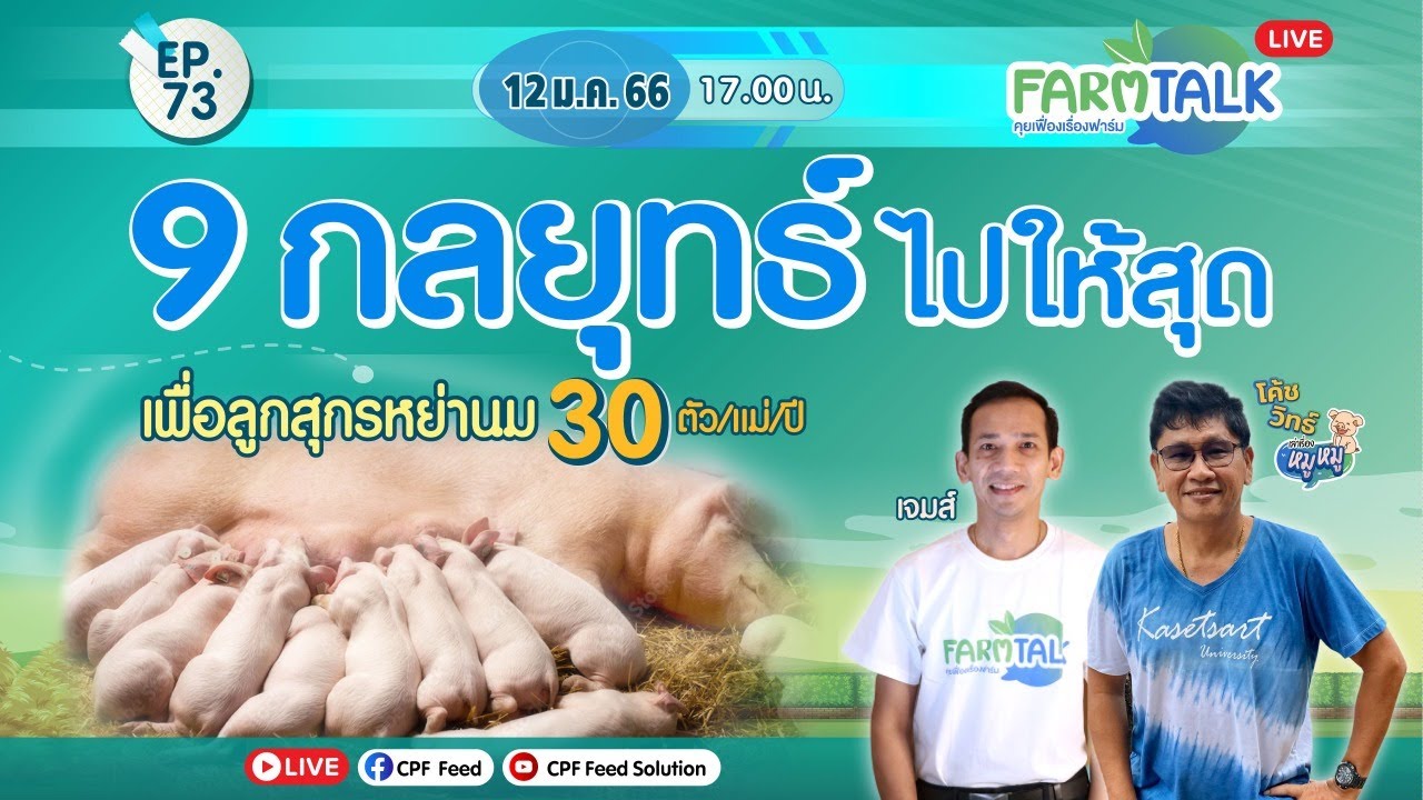 📌Farm Talk Live EP.73 9กลยุทธ์ ไปให้สุดเพื่อลูกสุกรหย่านม 30ตัว/แม่/ปี - YouTube