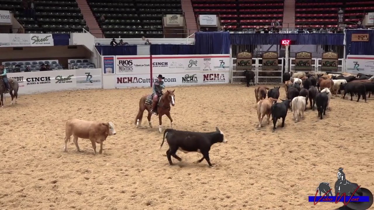 Alamo & Brandon Westfall - YouTube