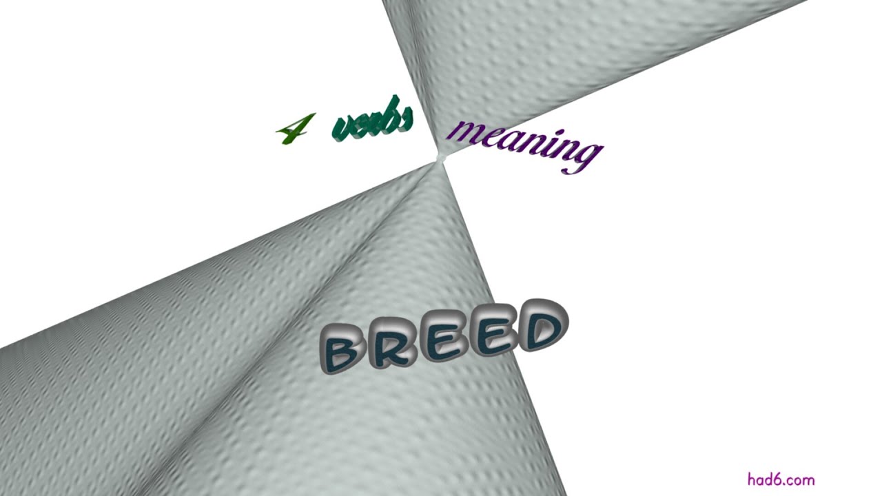 Breed 5 Verbs Which Mean Breed sentence Examples YouTube Breed 5 Verbs Which Mean Breed sentence Examples YouTube