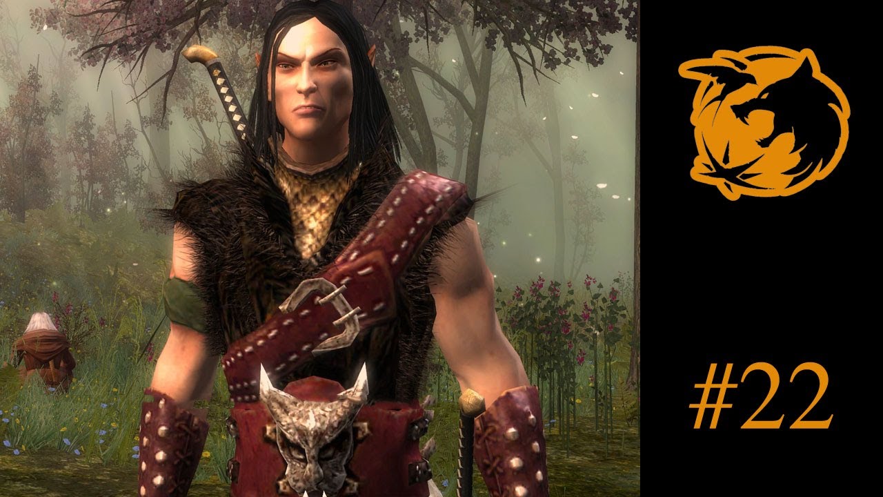 Let's Play | The Witcher | 22 | Righteous Path - YouTube