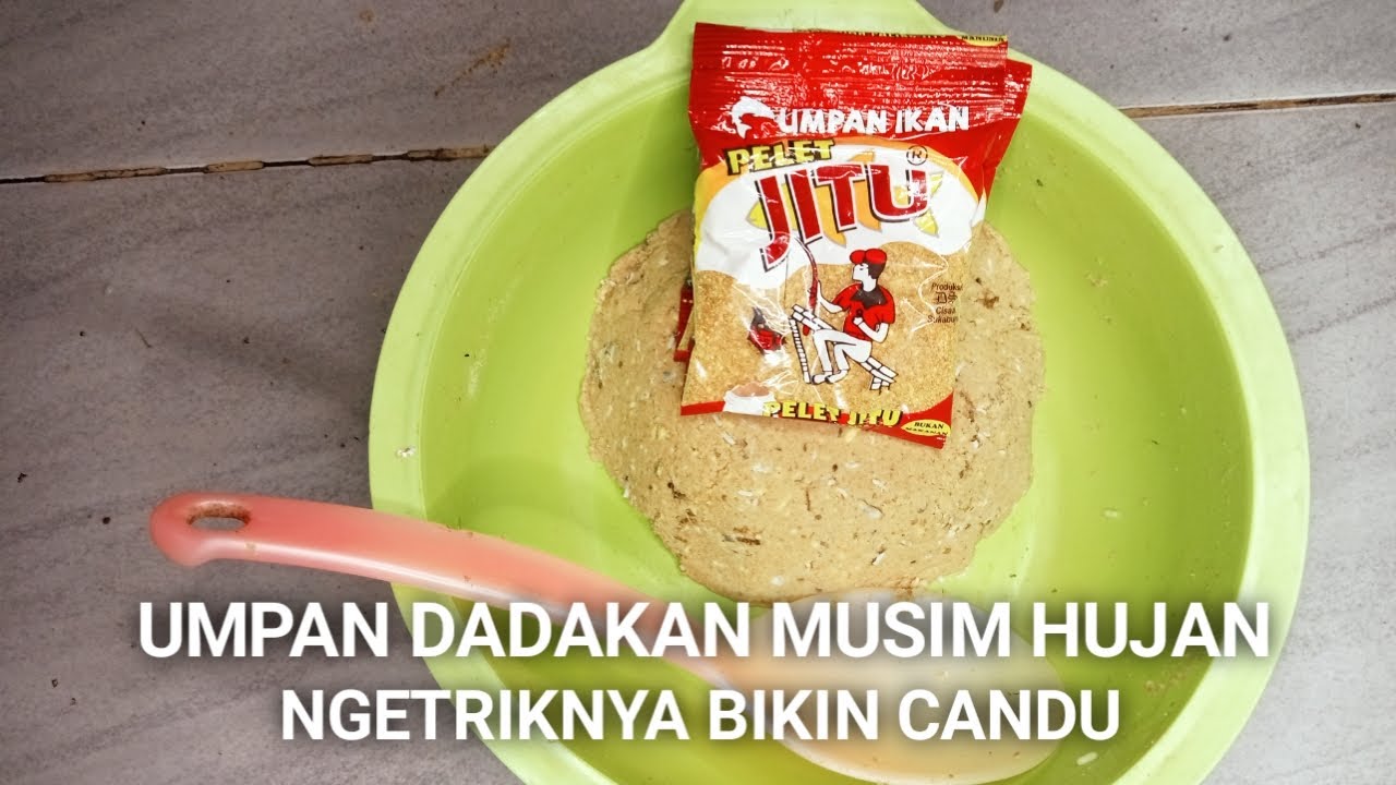 Resep Dadakan Umpan ikan Mas Paling Jitu Menggunakan 3 Pelet Jitu Merah ...