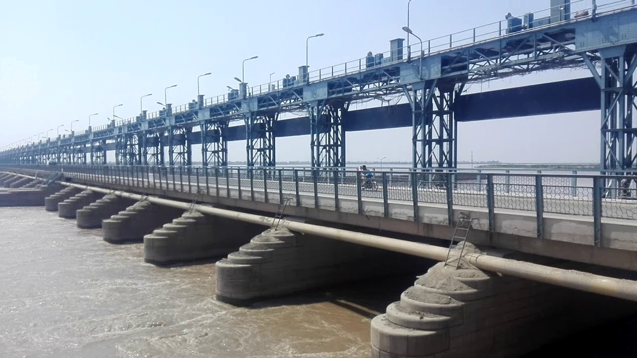 Head trimmu - YouTube