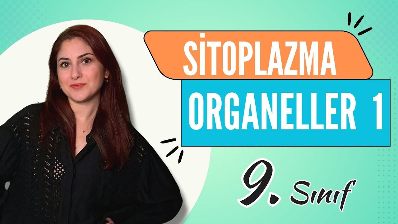 14) SİTOPLAZMA ORGANELLER 1 | 9. SINIF | TYT BİYOLOJİ DERS NOTLARI ...
