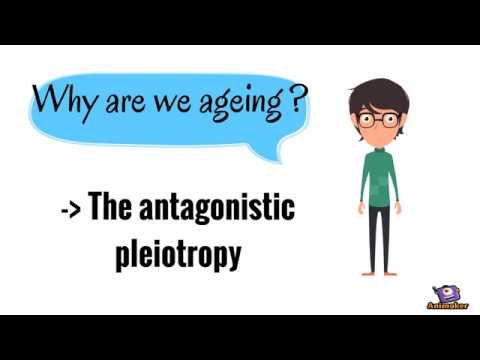 The Theory of Antagonistic Pleiotropy - YouTube