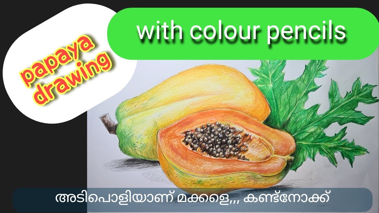 How to draw and coloring Papaya step by step (very easy) || art video ...