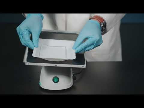 Staining and Destaining a Gel with CarolinaBLU™ - YouTube
