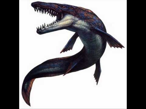 Hainosaurus - YouTube