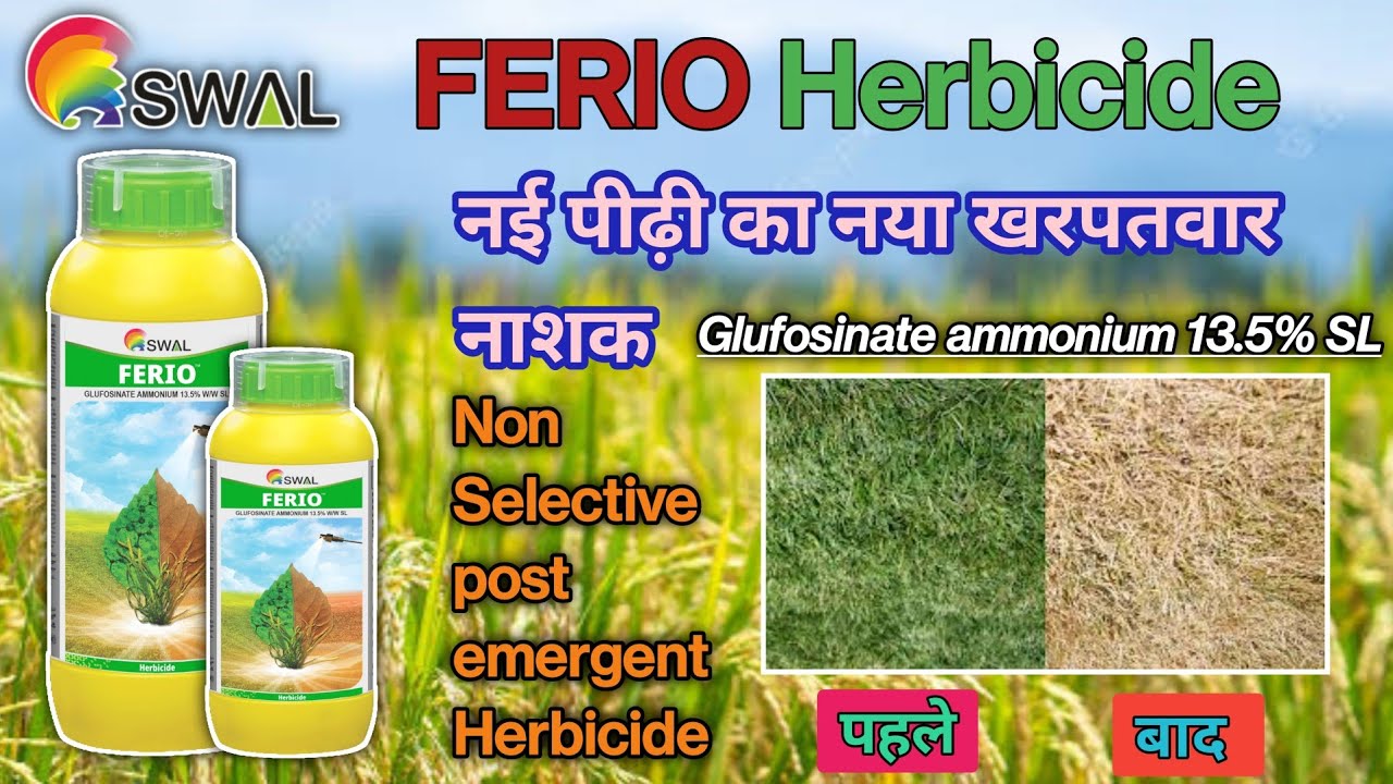 swal ferio herbicide | glufosinate ammonium 13.5% s.l. | non selective ...