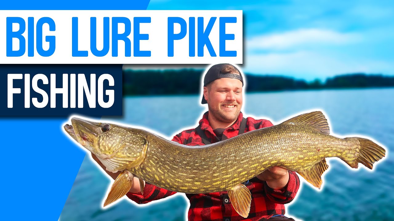 Fishing BIG Lures For PIKE! - YouTube