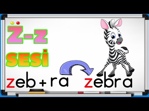 Z SESİ HECE KELİME CÜMLE METİN ÇALIŞMASI | Z SESİ OKUMA | DİK TEMEL HARFLER | 1. SINIF OKUMA YAZMA
