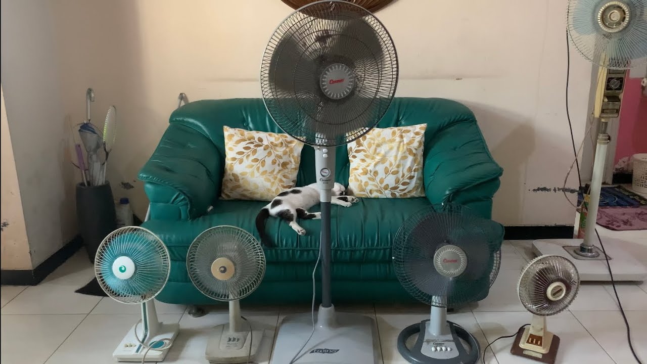 Fans Roundup #17 Cosmos fans - YouTube