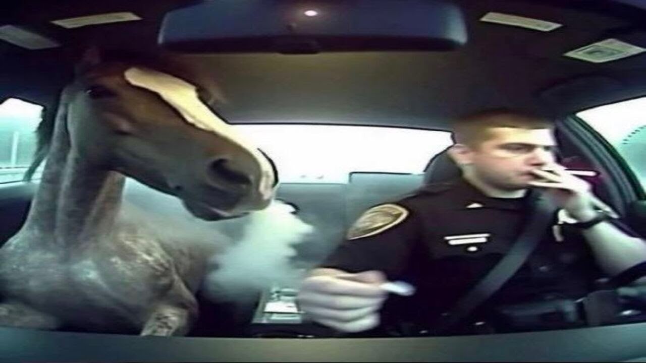 Random bad quality Memes V-2 - YouTube
