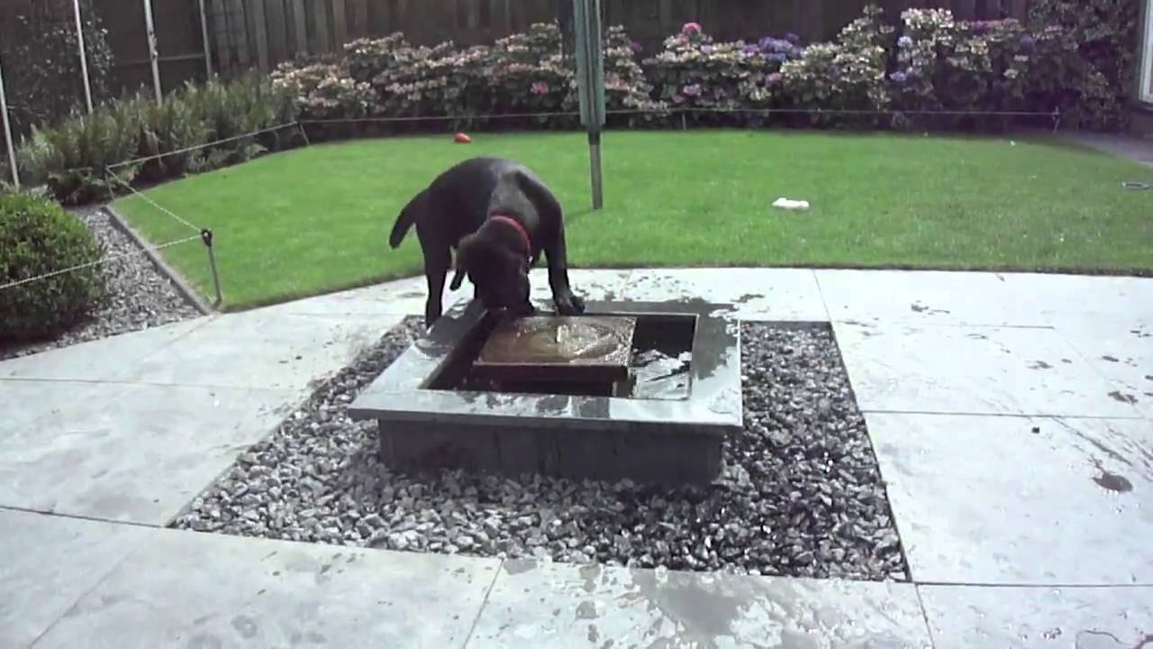 Sam en Moos spelen met waterornament - YouTube