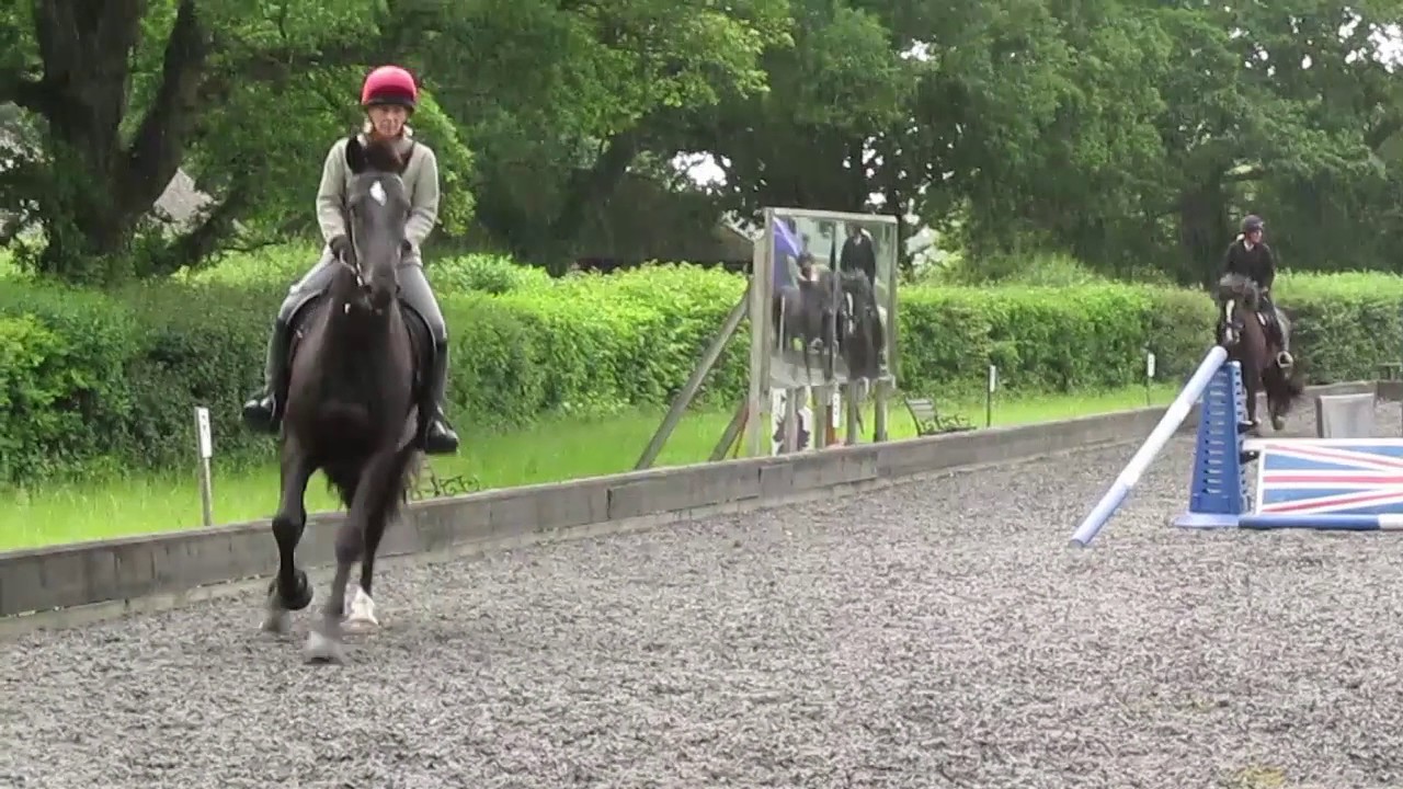 Gridwork and Jumping with Ken Spencer - YouTube
