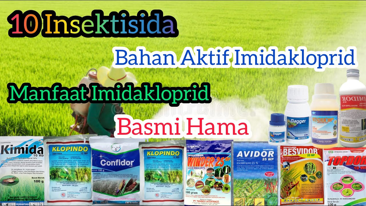 10 Insektisida Bahan Aktif Imidakloprid,!! Manfaat Imidakloprid Untuk ...
