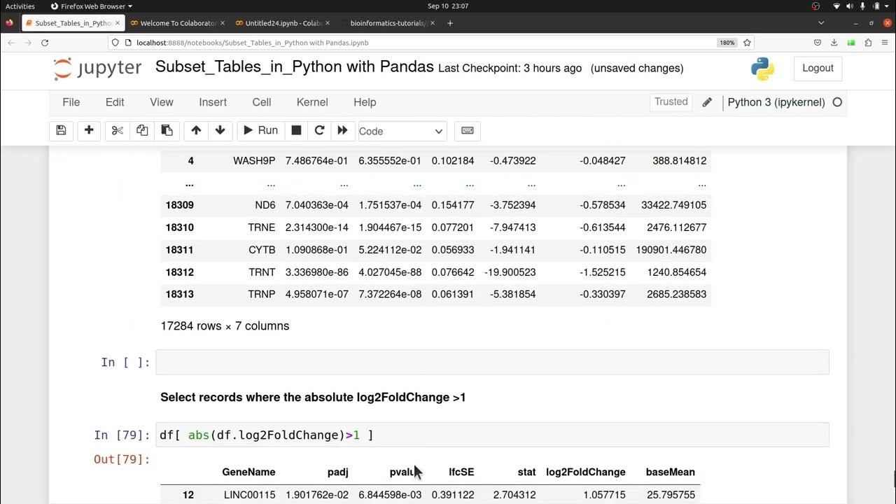 Making Conditional Queries in Pandas DataFrames - YouTube