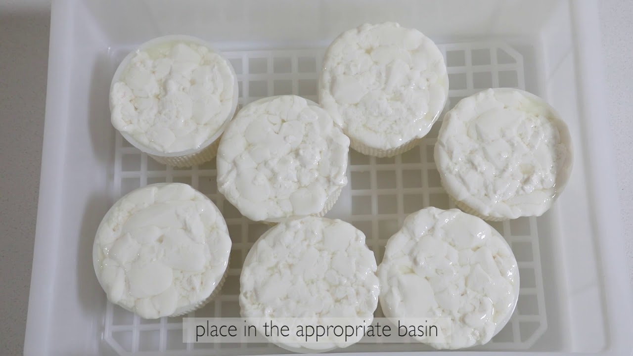 How to Make Homemade Cheese with Kit - YouTube