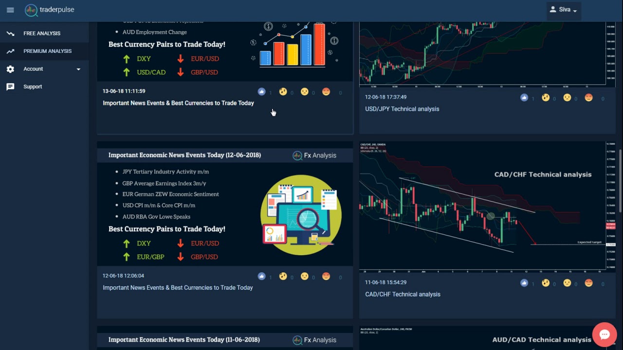 Traderpulse Analysis Premium Trades - YouTube