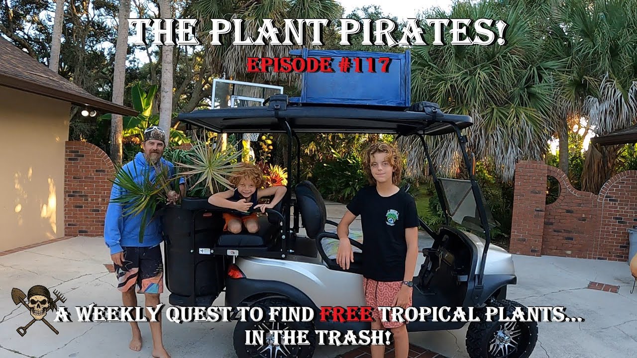 The Plant Pirates Episode 117 | Finding FREE Tropical Plants in the ...