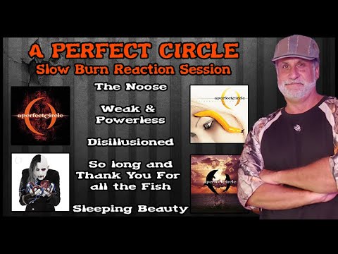 A Perfect Circle Slow Burn Reaction The Decomposer Lounge Reactions and ...