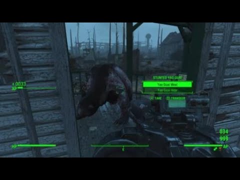 Fallout 4 bears now get stuck in roofs - YouTube