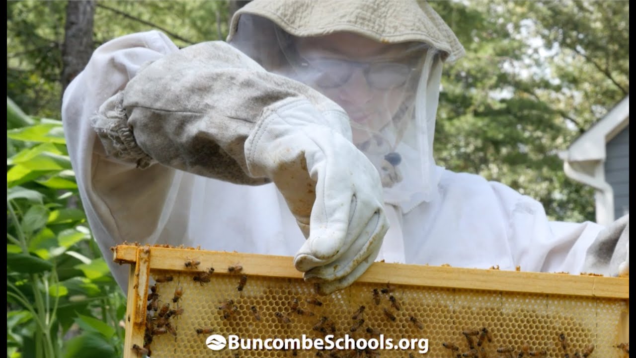 Beekeeping Club at Buncombe County Early College - YouTube