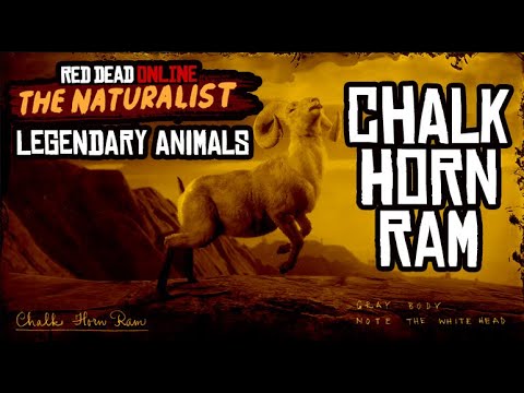 Red Dead Online The Naturalist Legendary Chalk Horn Ram Location ...