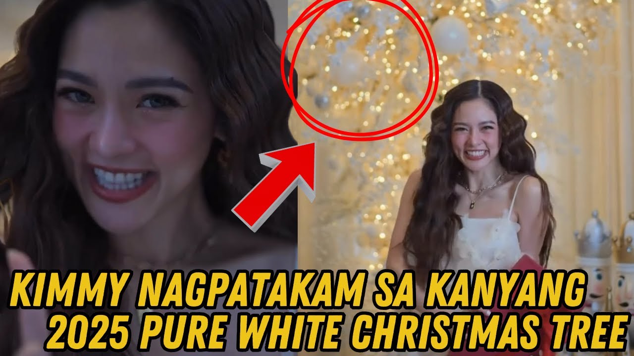 KIM CHIU IPINASILIP NA ANG KANYANG NEWLY DECORATED CHRISTMAS TREE FOR ...