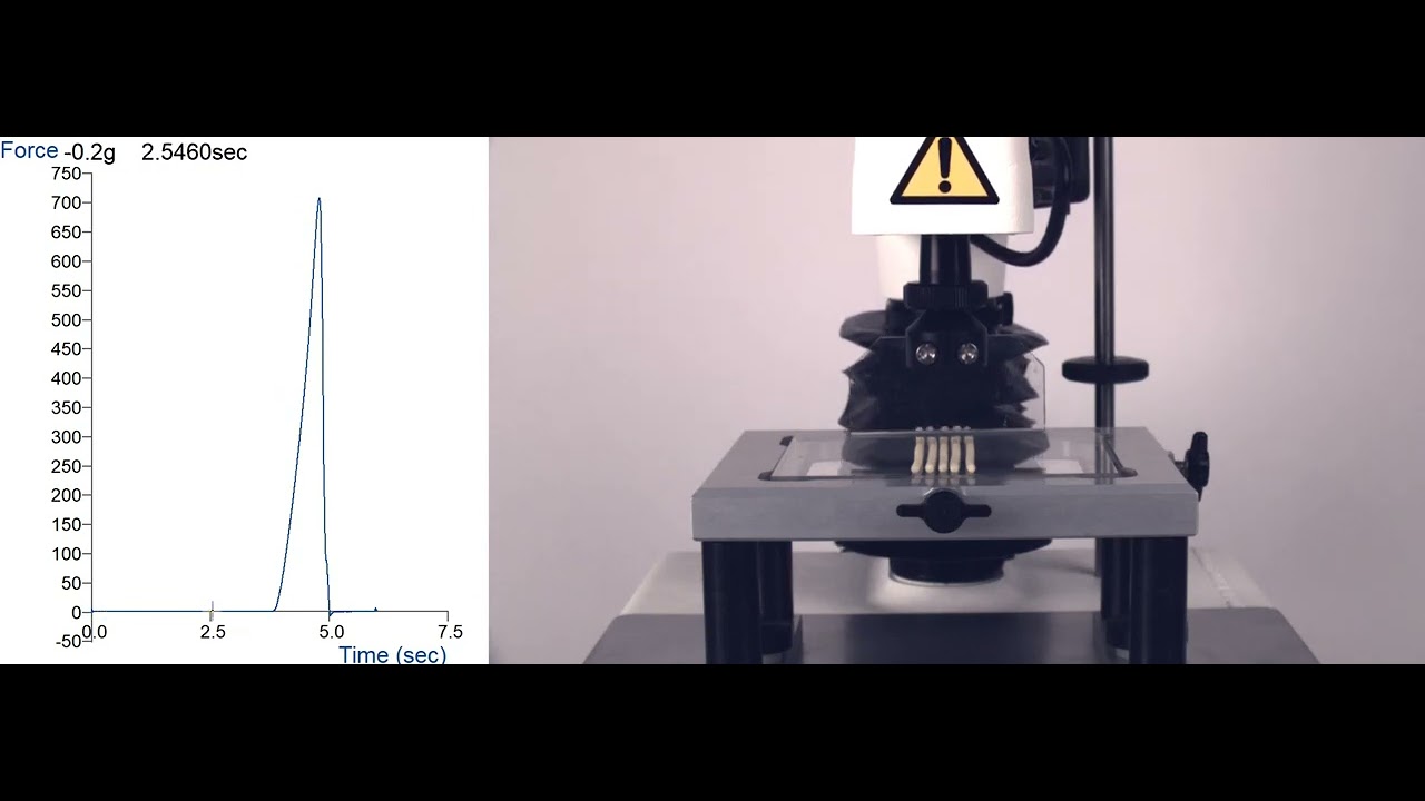Cooked Pasta Quality Firmness Rig | AACC Standard method 66-50.01 ...