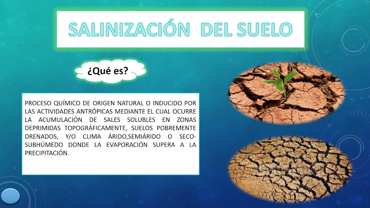 SALINIZACIÓN DEL SUELO - Open Campus - YouTube