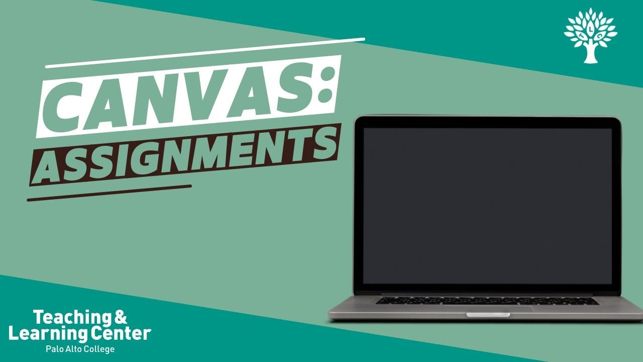 Assignments - YouTube