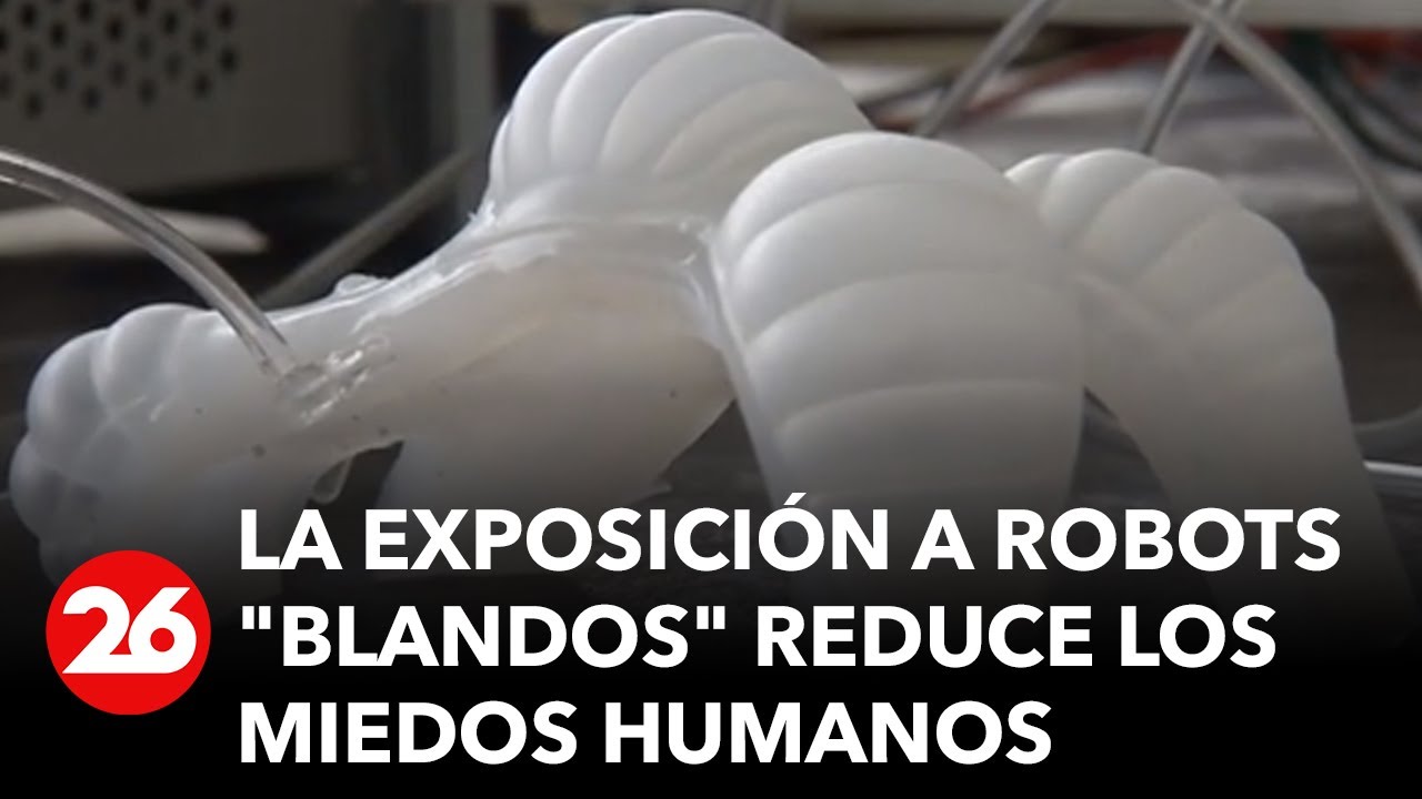 Estados Unidos | La exposición a robots "blandos" reduce los miedos ...