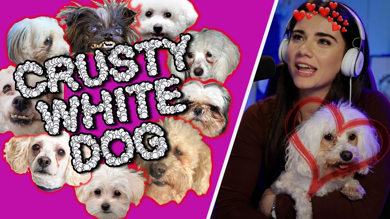 Brett Cooper and Rocky REACT to Crusty White Dog TikToks - YouTube