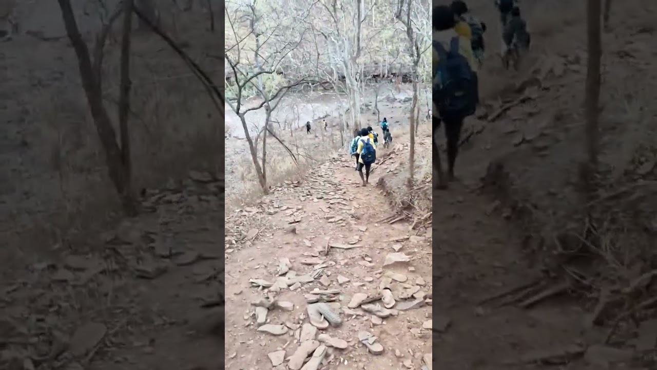 Srisailam Forest ll Nallamala Forest (Part 17) Vlog Vedio #shorts #vlog ...