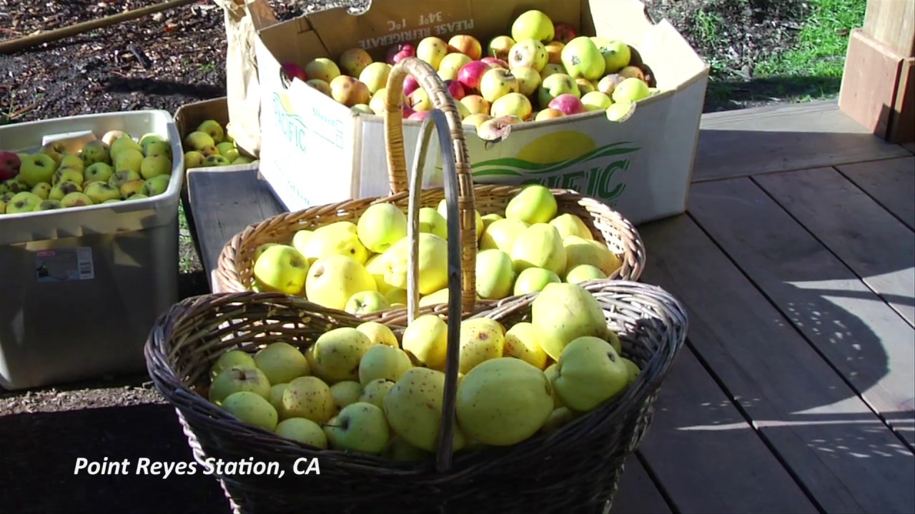 A Local Commons - short documentary - YouTube