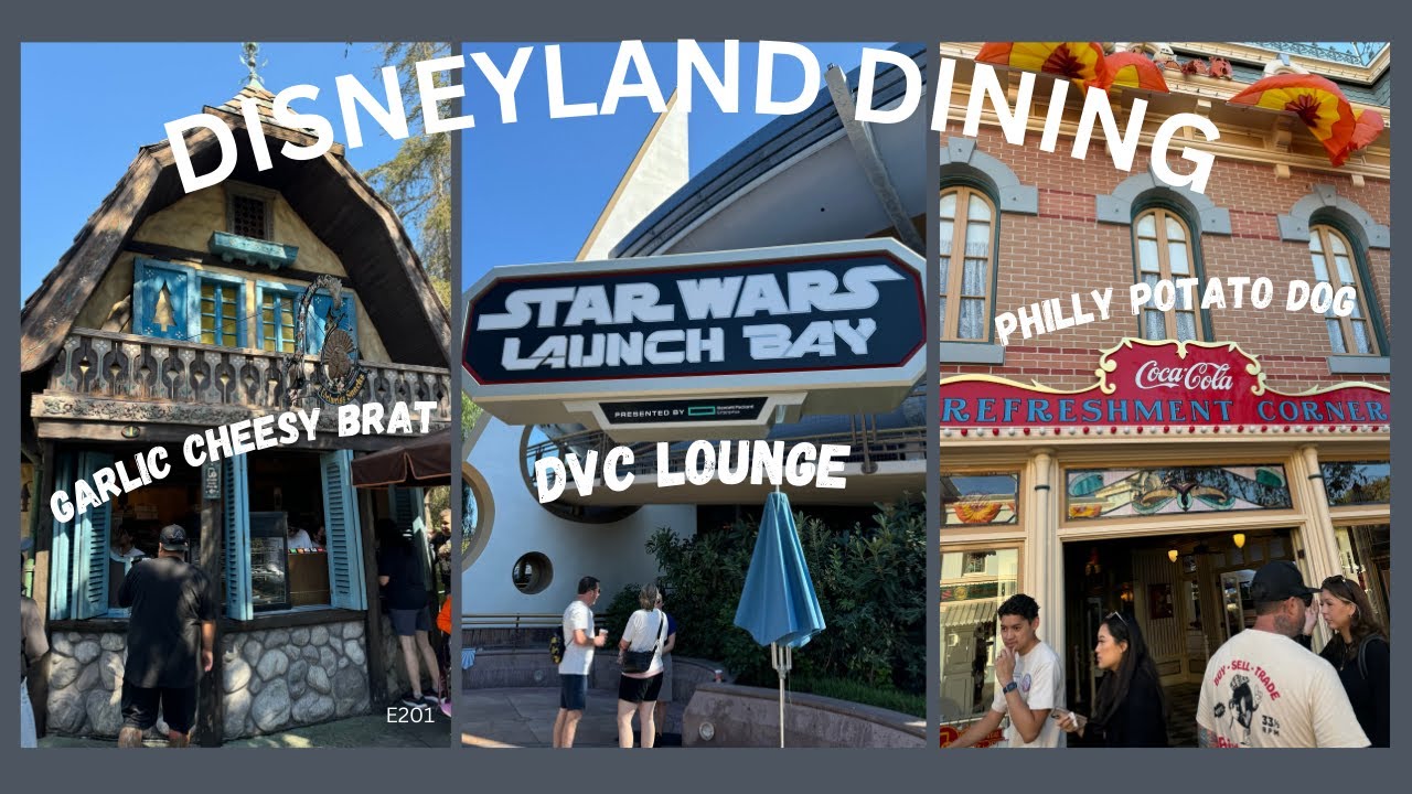 DISNEYLAND DINING - DVC Lounge / Edelweiss Pretzel Dog / Refreshment ...