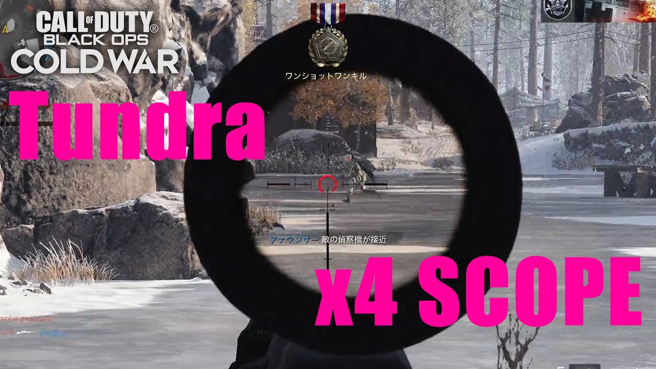 【COD: BOCW】Tundraと4スコの相性は抜群 - YouTube
