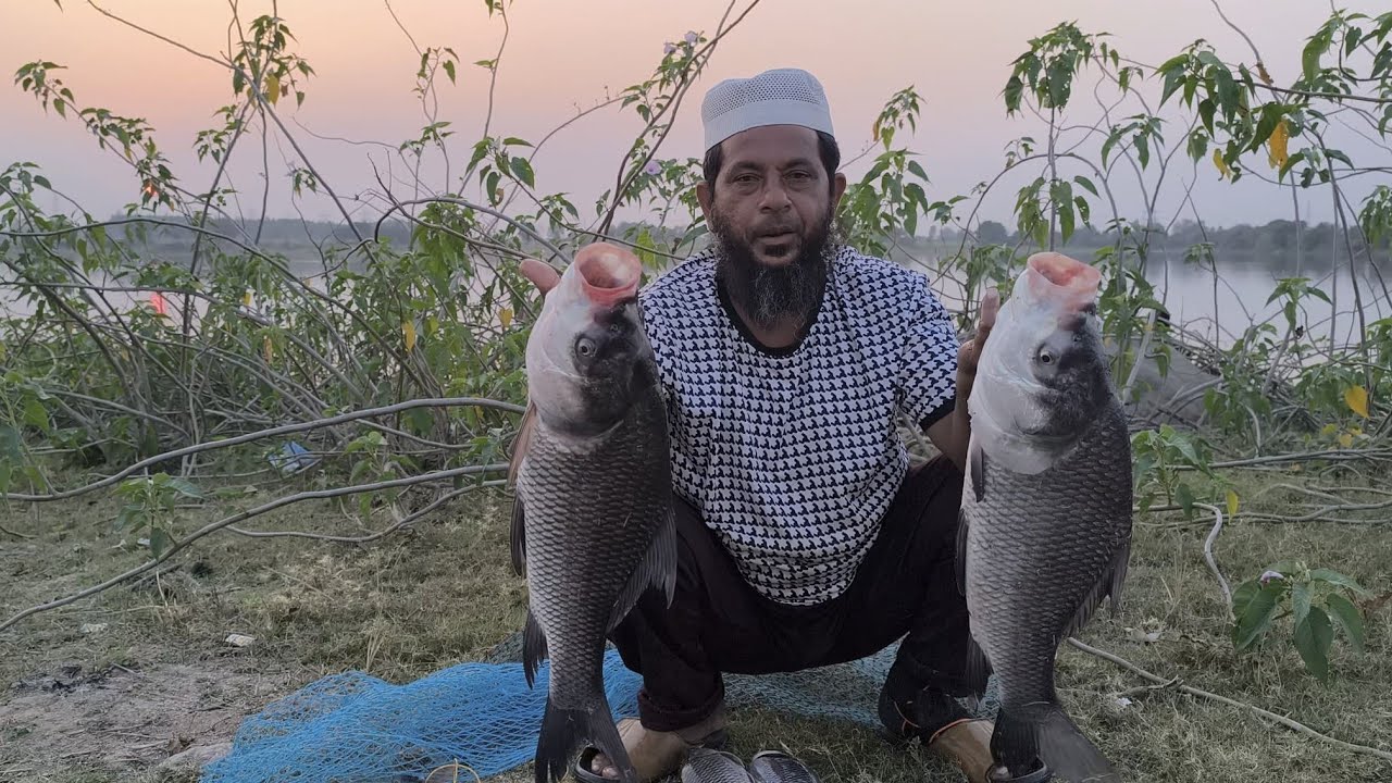 Big Catch of the Day! bucha Fish (Katla) & gold fishing Action! 😱| how ...