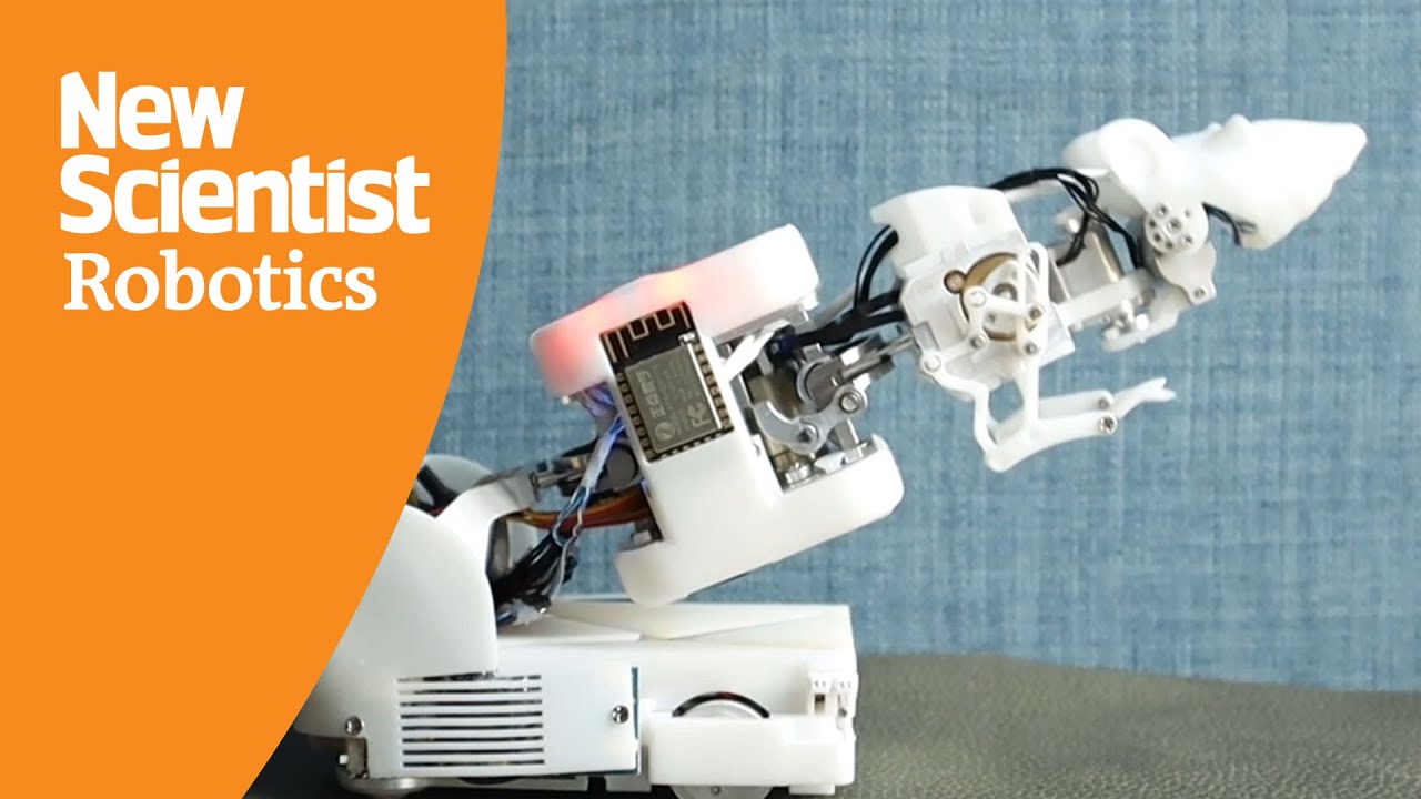 Robotic rat uses AI to befriend real rodents - YouTube