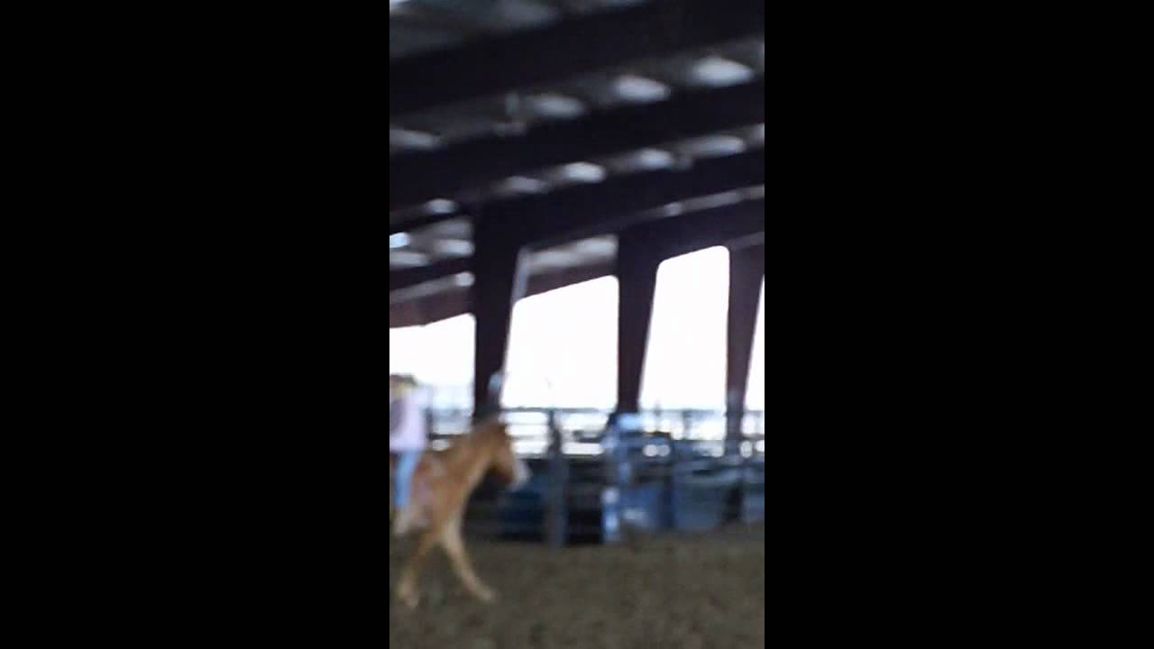 riding a horse backwards - YouTube