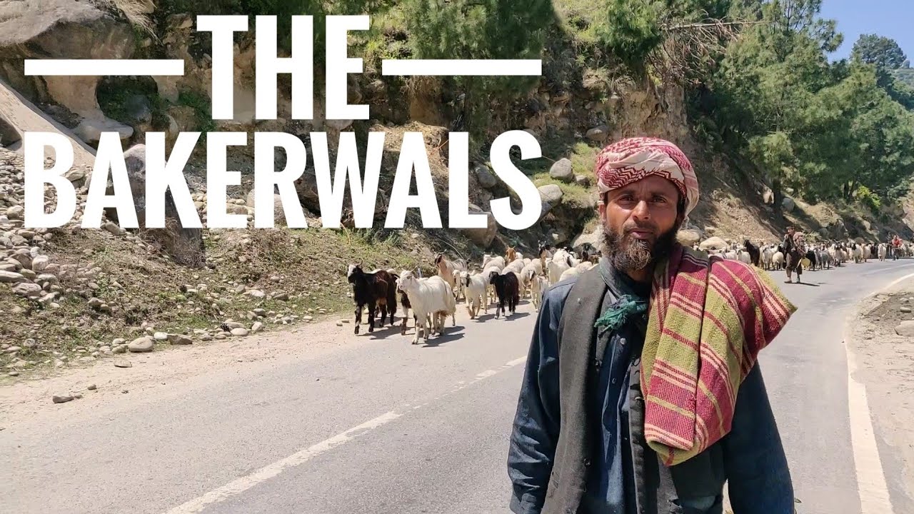 The Bakerwals - YouTube