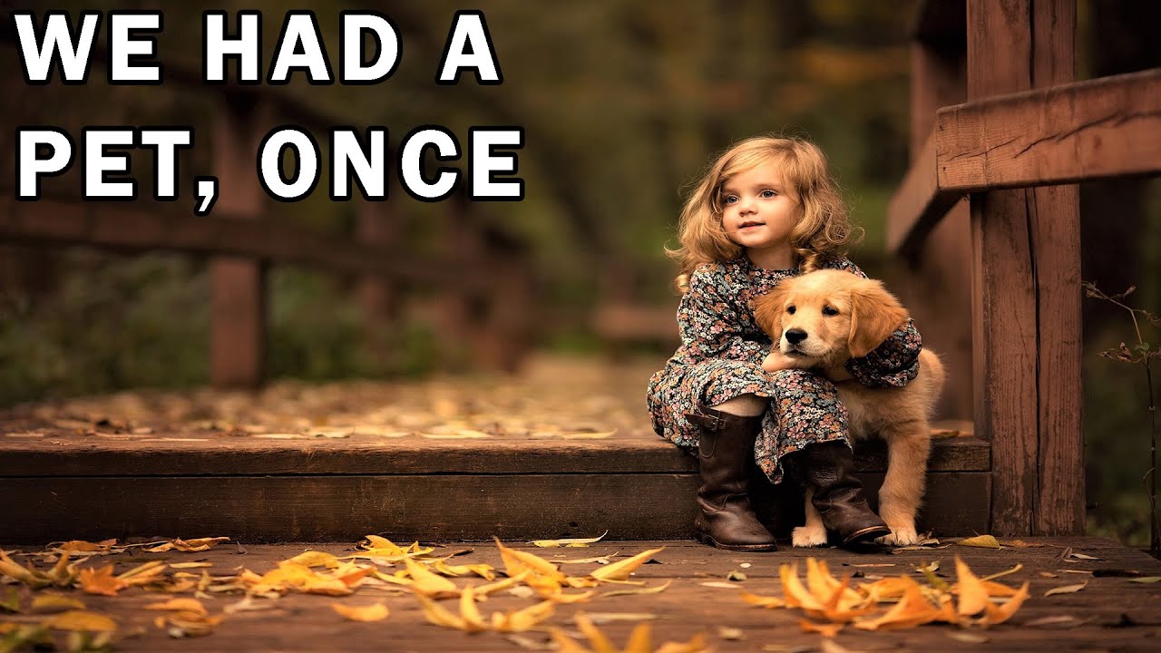 We Had a Pet, Once | Humans are space orcs? | An HFY Story - YouTube