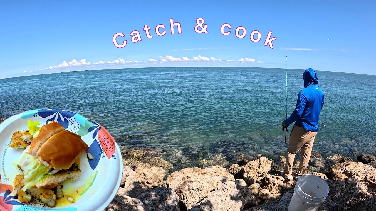 Fresh Mangrove Snappers catch & cook. - YouTube