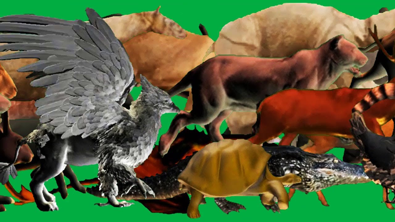 Green Screen Animals Stampede Running and Walking Best HD Animals Green ...