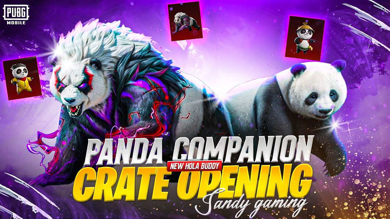 NEW PANDA COMPANION HOLA BUDDY CRATE OPENING | PUBG MOBILE - YouTube