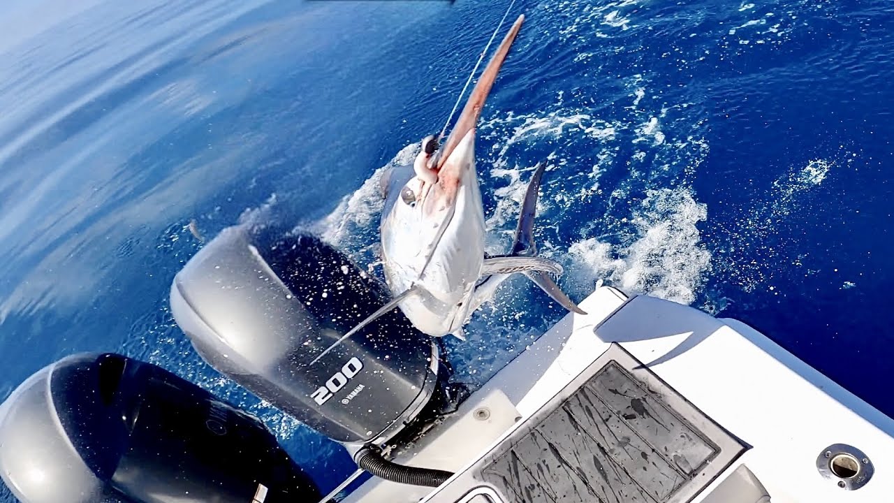 Marlin Attacks Me - YouTube