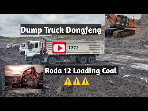 Dumpt truck Roda 12 Dt dongfeng untuk coal houling - YouTube
