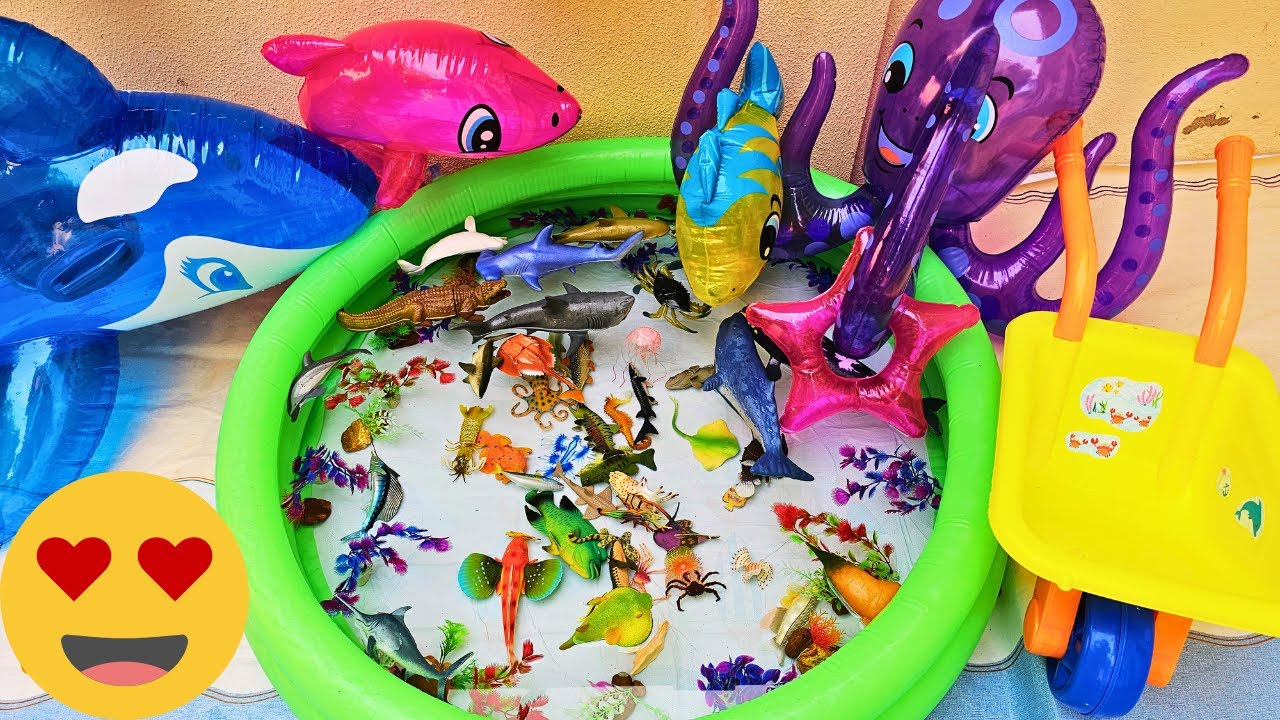 Explore 50 Toy Marine Animals! Fun Ocean Adventure for Kids - YouTube