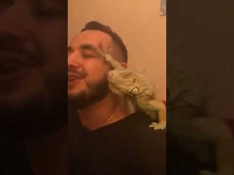 Kalbim yaralı #trending #instagram #tiktok