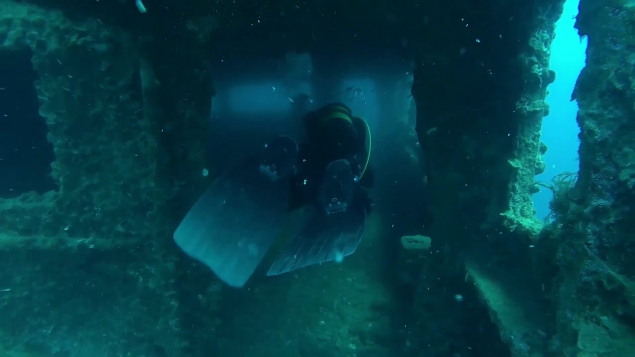 Diving at Haven Wreck with Diving Le Cavallette Savona - YouTube